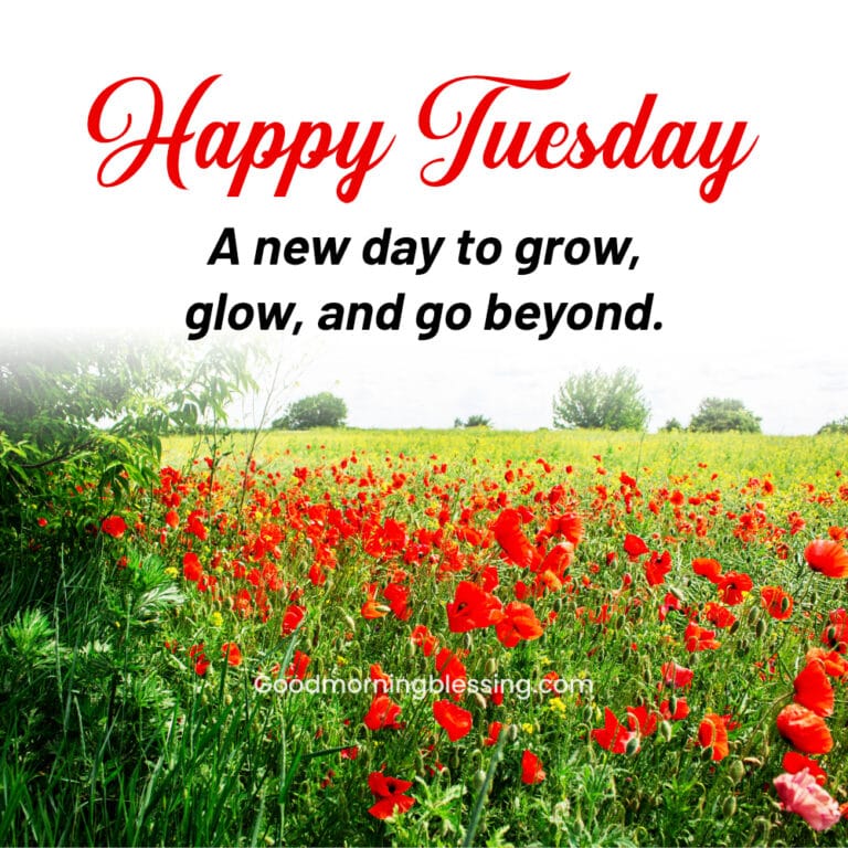 350+ Good Morning Tuesday Blessings Quotes And Images ...
