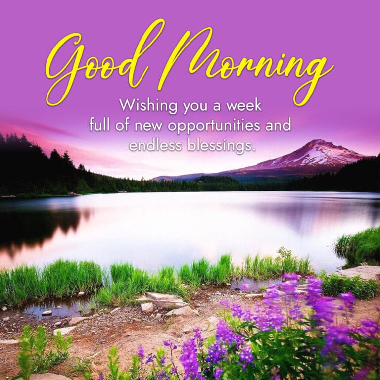 200+Happy Monday Morning Images and Quotes For positive day ...