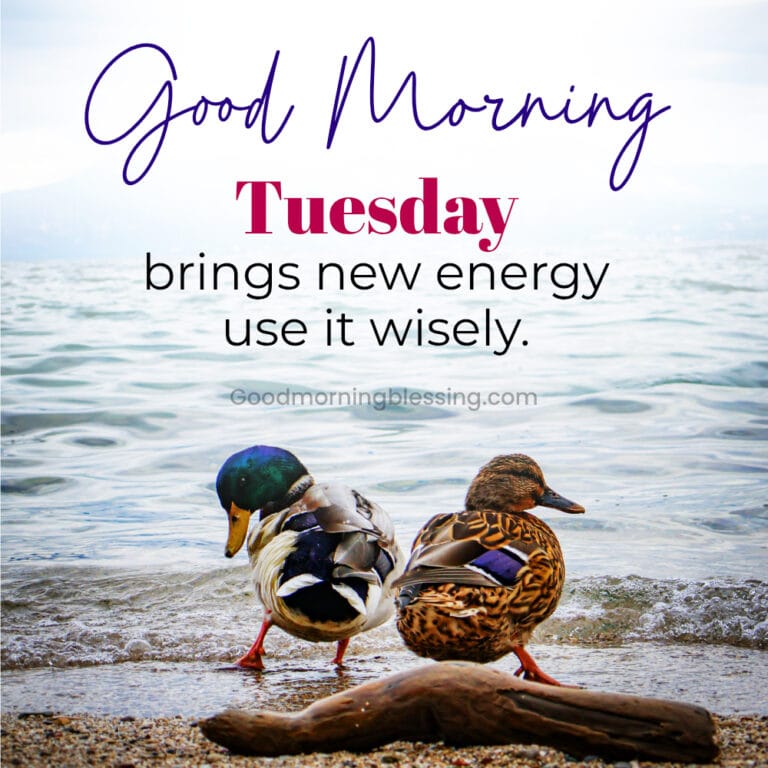 350+ Good Morning Tuesday Blessings Quotes And Images ...