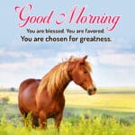 200+Happy Monday Morning Images and Quotes For positive day ...