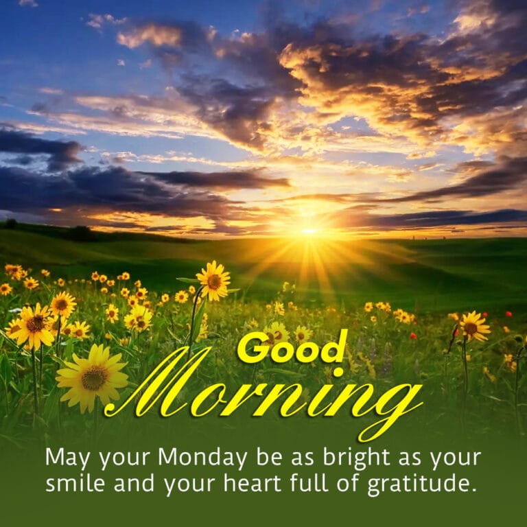 200+Happy Monday Morning Images and Quotes For positive day ...
