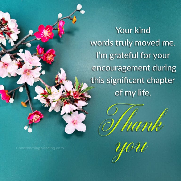 200+ Heartfelt Thank You Messages & Quotes for Every Occasion ...
