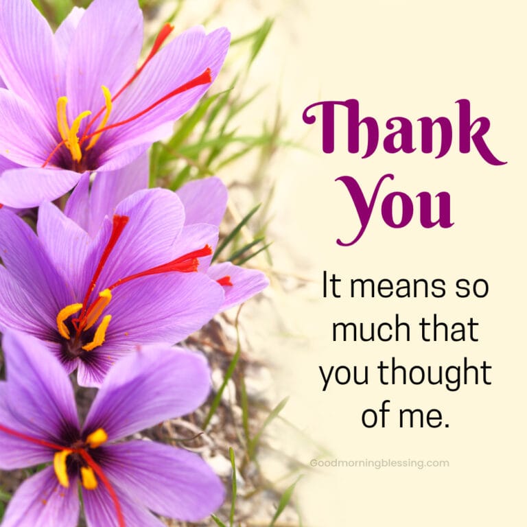 200+ Heartfelt Thank You Messages & Quotes for Every Occasion ...