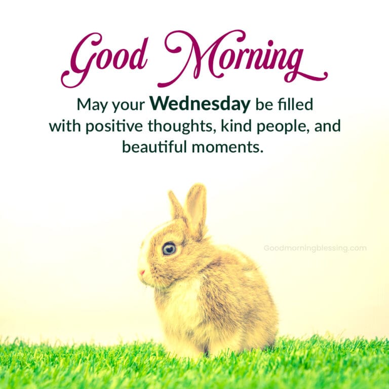 60+ Happy Wednesday Morning Wishes & Quotes to Inspire Positivity ...