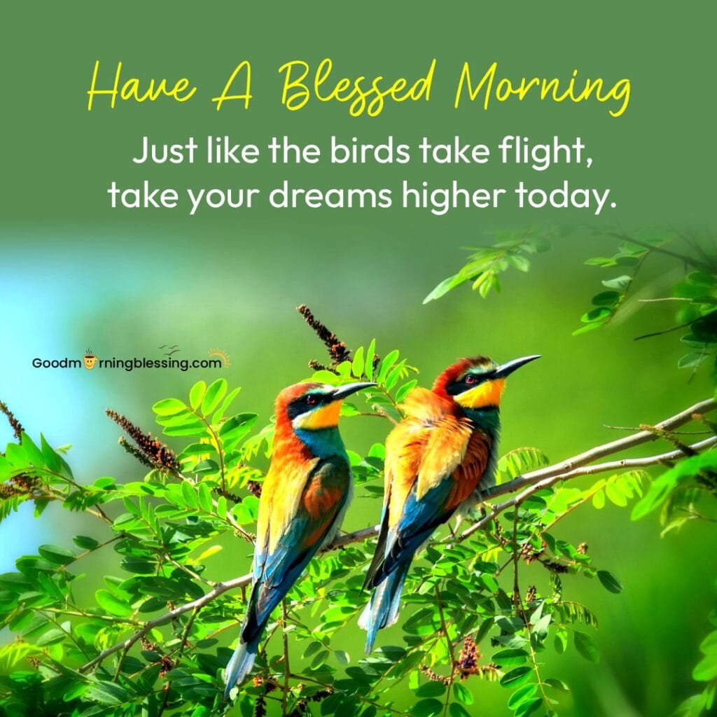 140+ Good Morning Birds Images - goodmorningblessing.com ...