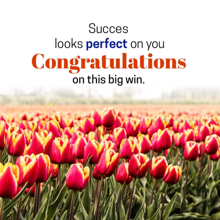 120+ Congratulations Messages, Wishes and Quotes - goodmorningblessing ...