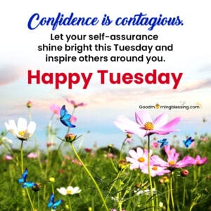 150+ Tuesday Morning Motivation Quotes & Wishes - goodmorningblessing ...
