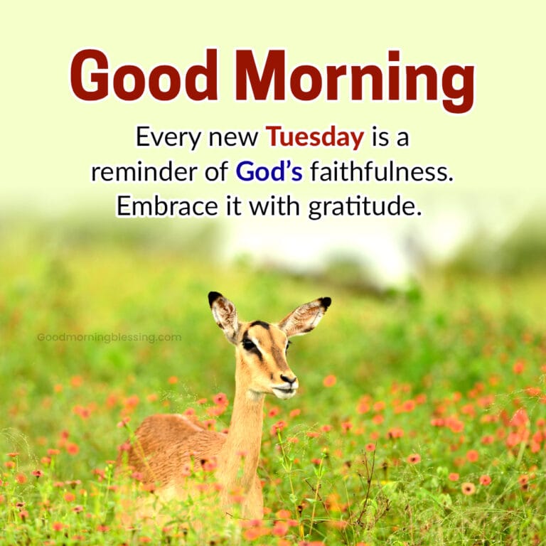 120+ Heartfelt Tuesday Morning Prayers, Wishes & Images to Fill Your ...