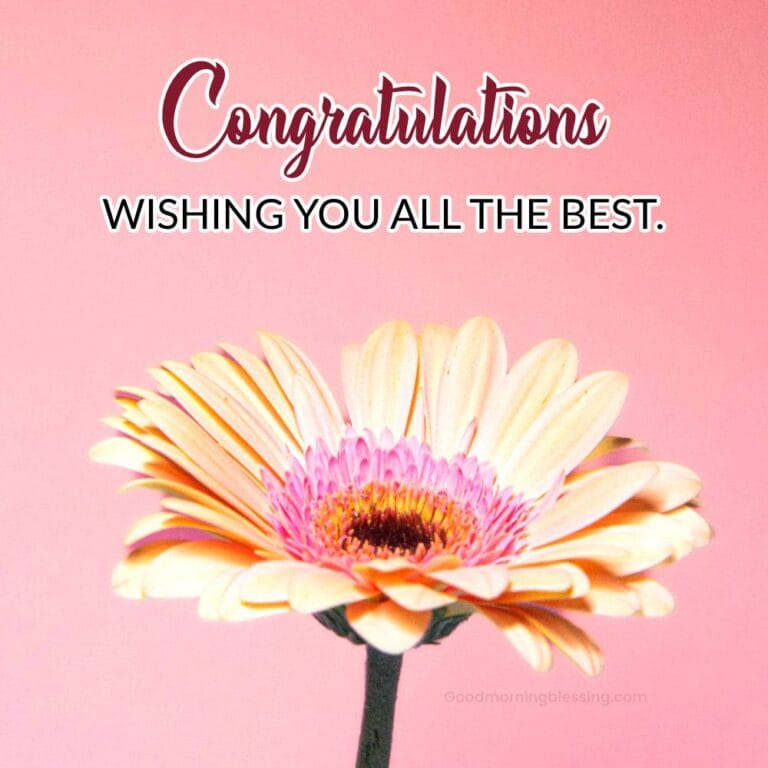 120+ Congratulations Messages, Wishes and Quotes - goodmorningblessing ...