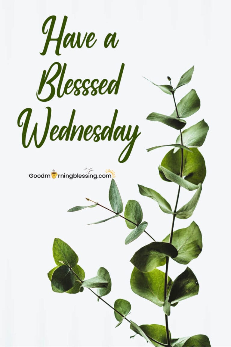 60+ Happy Wednesday Morning Wishes & Quotes to Inspire Positivity ...