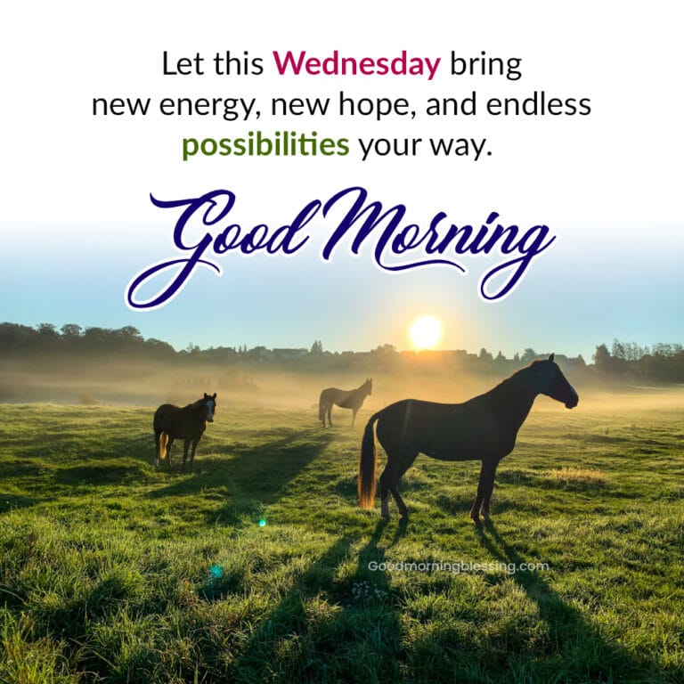 60+ Happy Wednesday Morning Wishes & Quotes to Inspire Positivity ...
