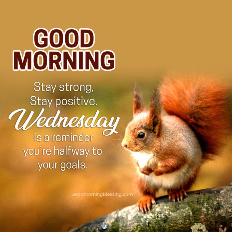 60+ Happy Wednesday Morning Wishes & Quotes to Inspire Positivity ...