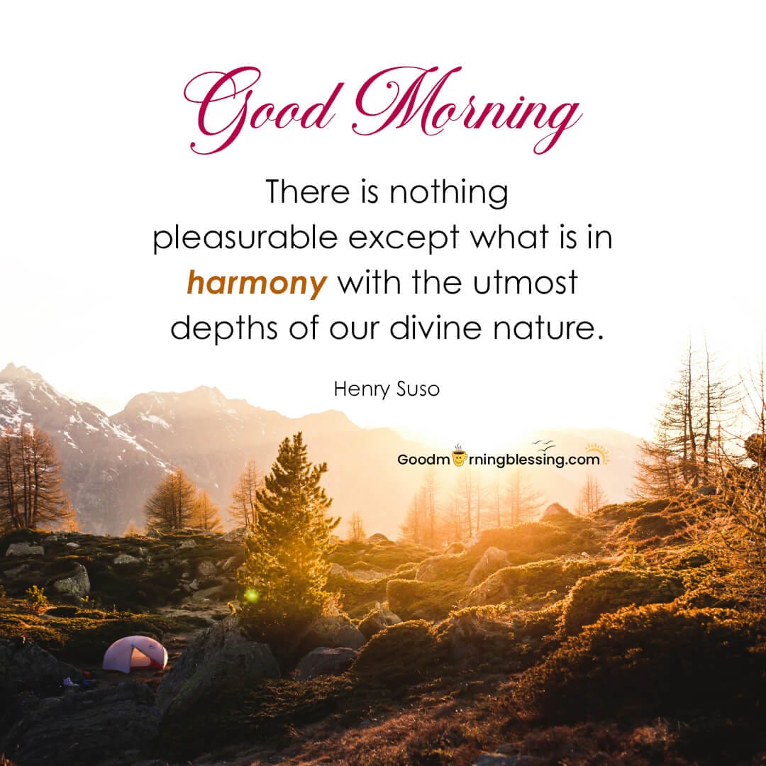 65+ Good Morning Harmony Quotes for positivity in life ...