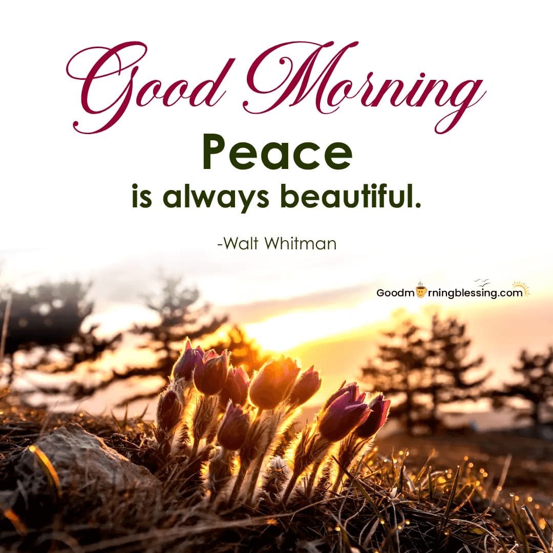 75 Good Morning Peace of Mind Quotes for Positive Day ...
