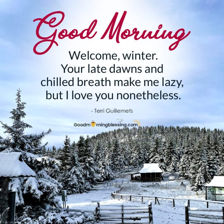 50+ Beautiful Good Morning Winter Images | goodmorningblessing.com