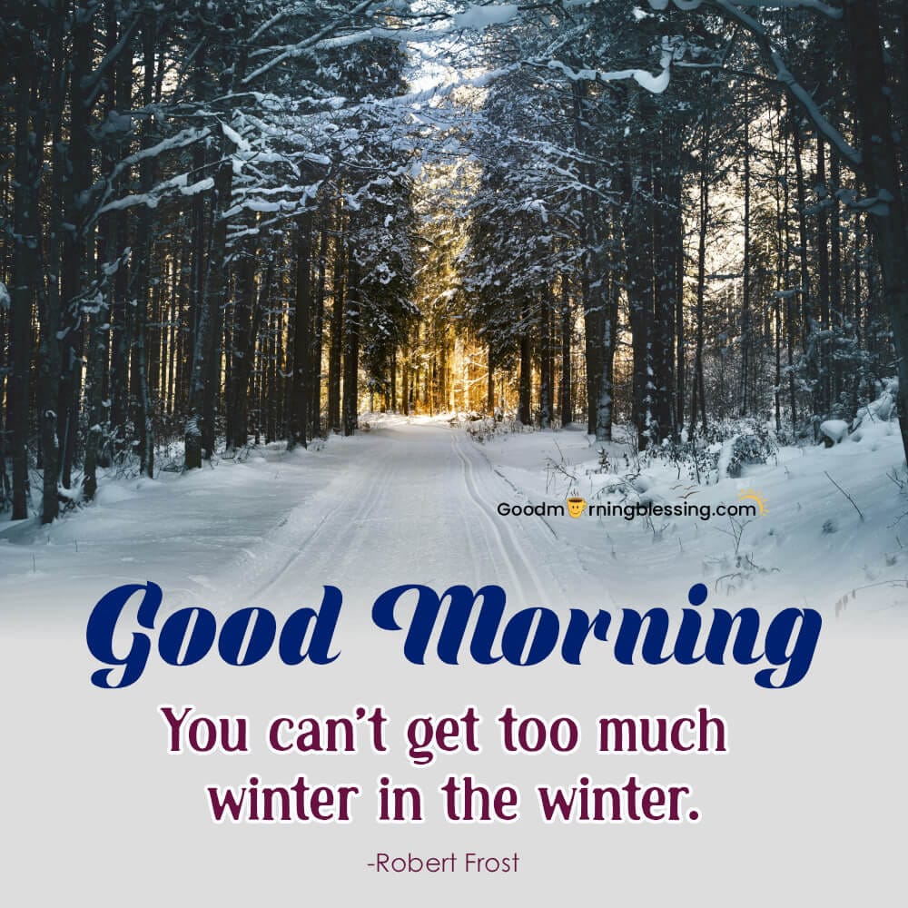 50+ Beautiful Good Morning Winter Images | goodmorningblessing.com