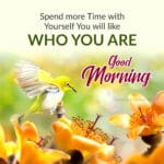 150+ Best Monday Wishes Greetings & Quotes to Start the Week ...