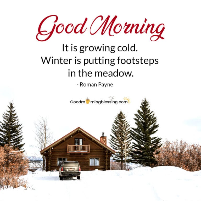 50+ Beautiful Good Morning Winter Images | goodmorningblessing.com