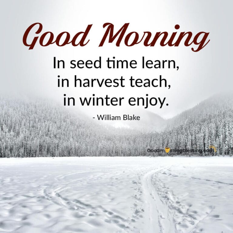 50+ Beautiful Good Morning Winter Images | goodmorningblessing.com