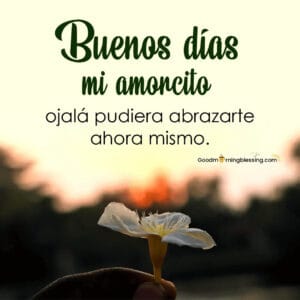 120+ Good Morning in Spanish — Wishes, Messages & Quotes ...