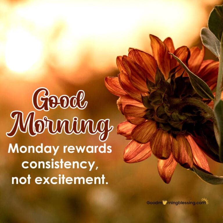 200+Happy Monday Morning Images and Quotes For positive day ...