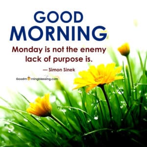 110+ Happy Monday Work Quotes to Boost Office Motivation ...