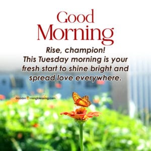 150+ Tuesday Morning Motivation Quotes & Wishes - goodmorningblessing ...