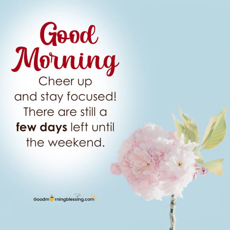 60+ Happy Wednesday Morning Wishes & Quotes to Inspire Positivity ...
