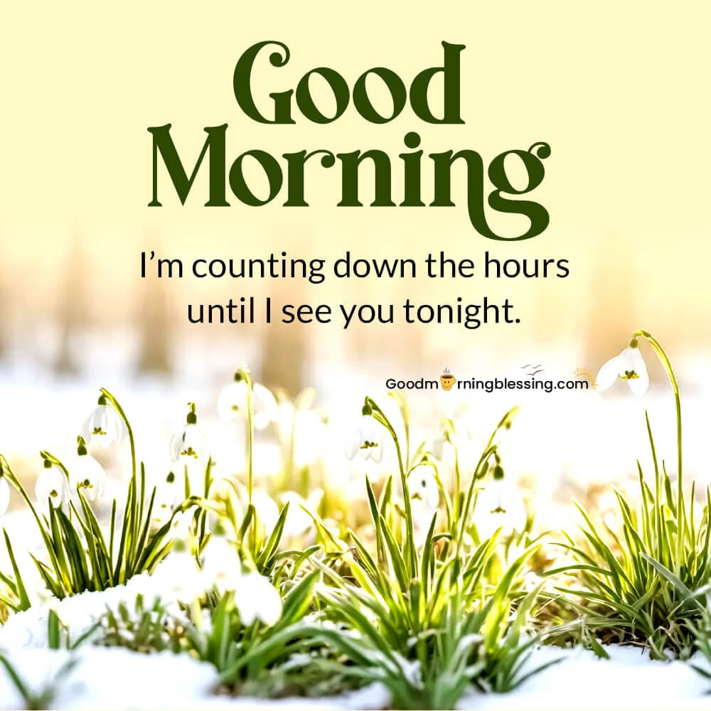 100+ Good Morning Cozy Messages for Soft Mornings | goodmorningblessing.com