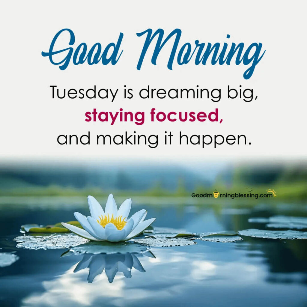 150+ Tuesday Morning Motivation Quotes & Wishes - goodmorningblessing ...