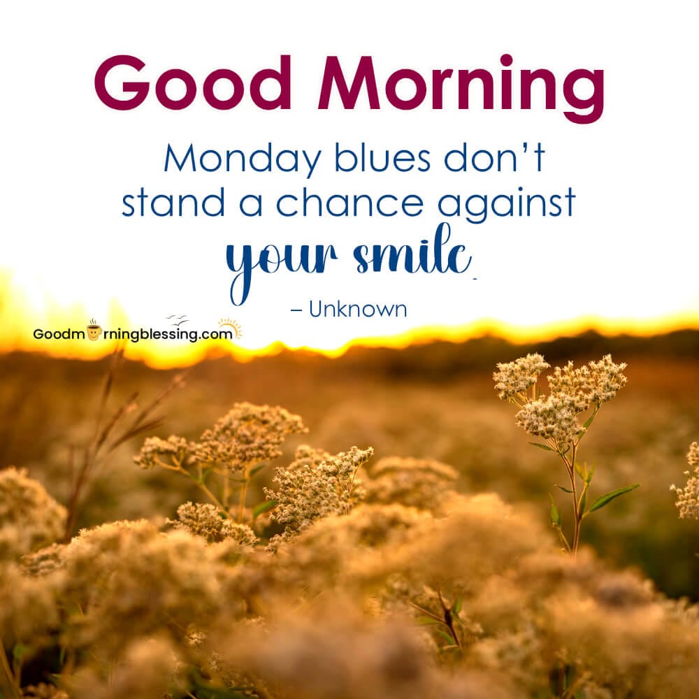 🔥 90+ Short Happy Monday Messages, One-Line Quotes ...