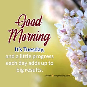 150+ Tuesday Morning Motivation Quotes & Wishes - goodmorningblessing ...